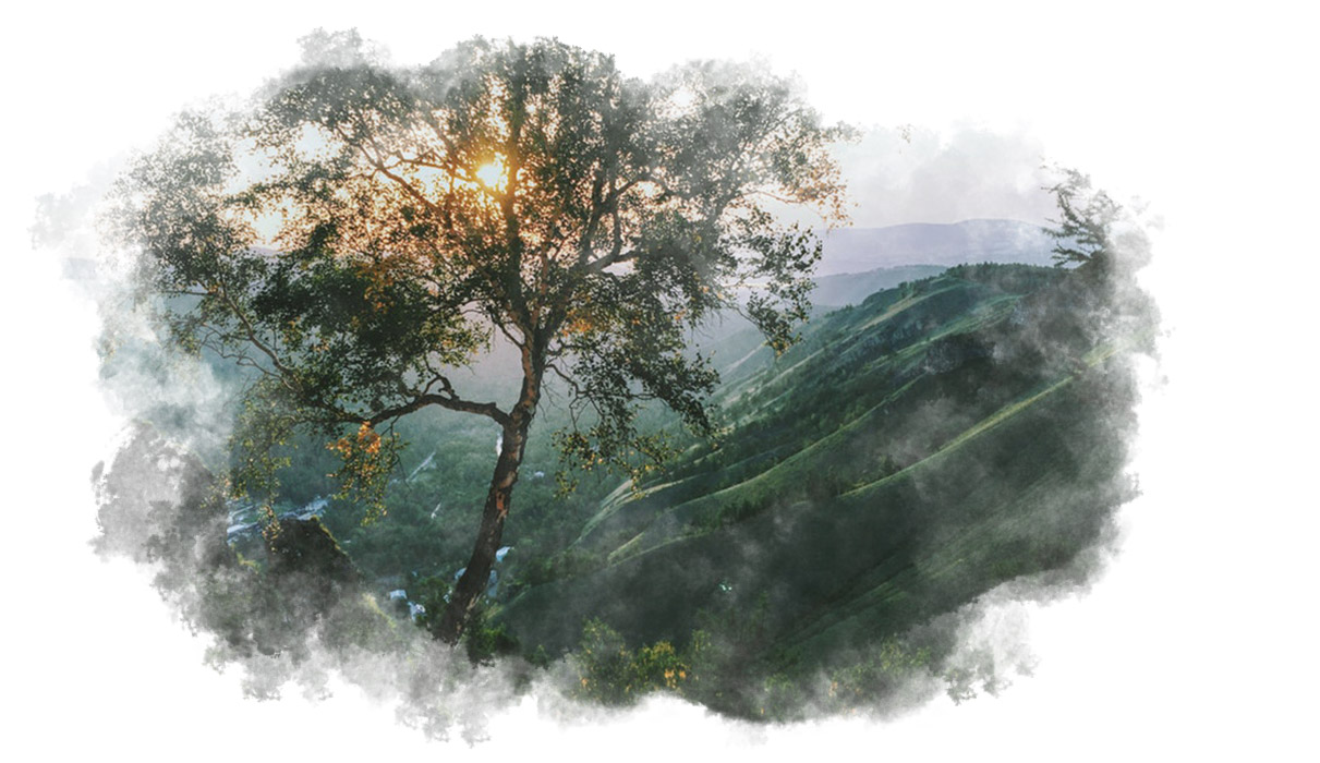 The best Camping in Tuscany - Camping Barco Reale